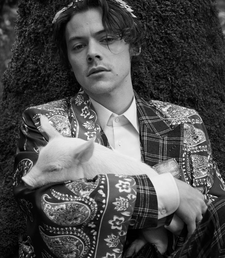 Harry Styles by Glen Luchford for Gucci :: This Is Glamorous (TIG)